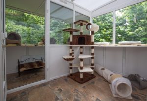 Cattery in Lincoln - Willow Tree Cat Hotel - Luxury For Cats